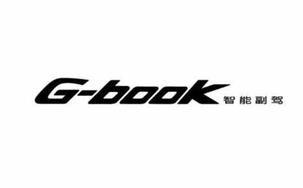雷克萨斯gbook是什么-有驾