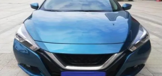 lannia是什么车_汽车_新车_用车_养车_车主_汽车其他_汽车使用-有驾