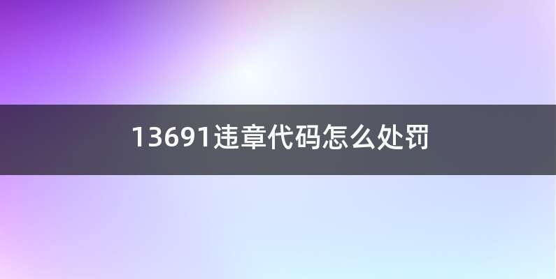 13691违章代码是什么意思-有驾